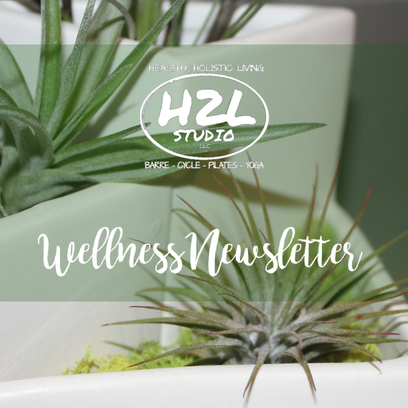 Sign Up For Our Wellness Newsletter - H2L Studio, Mechanicsburg